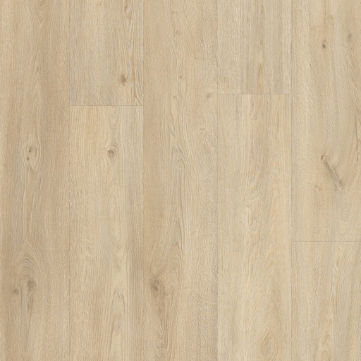 Moduleo Roots 55 EIR Hout Large | LaminaatenParket